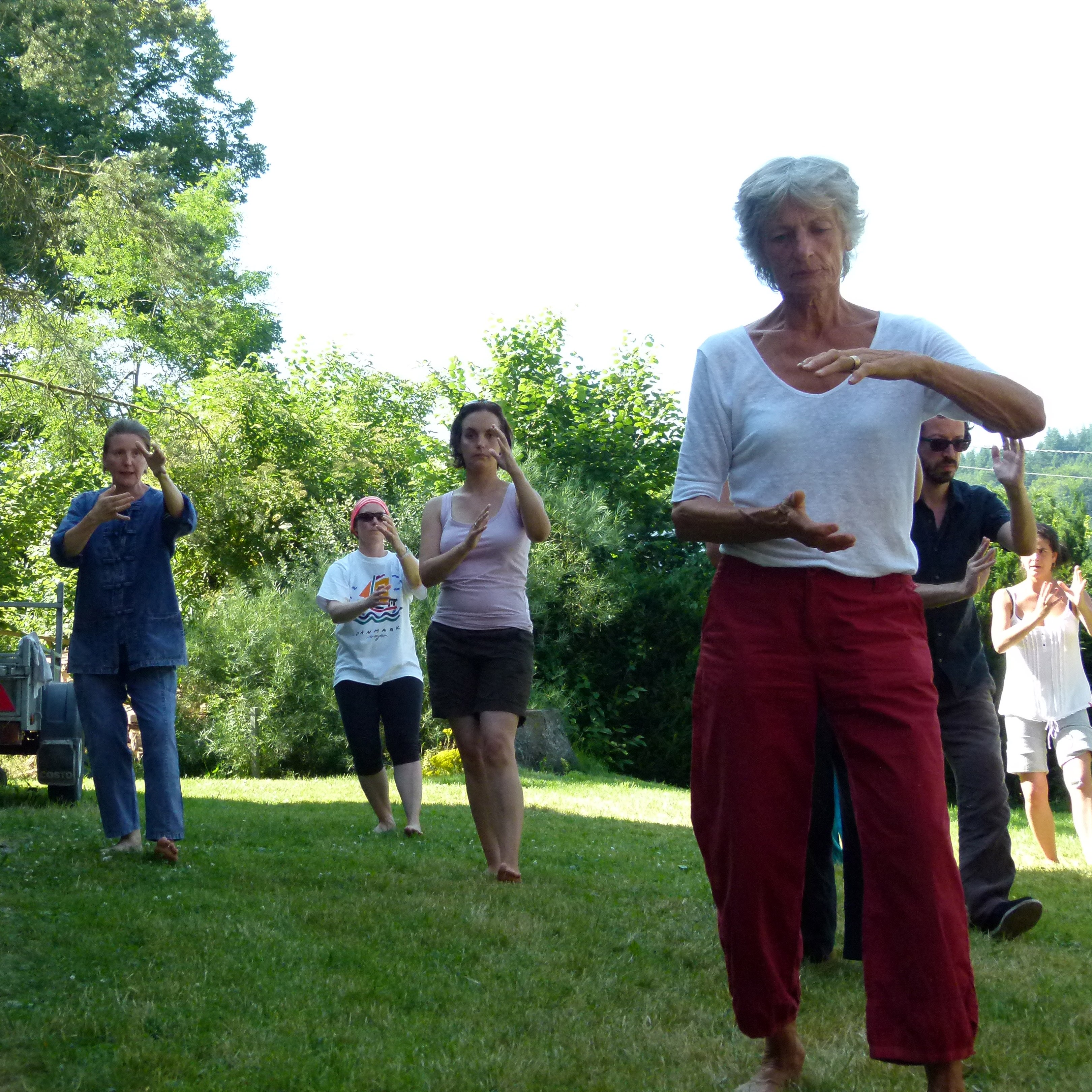 Tai Chi Chuan / Qi Gong - Distinguo